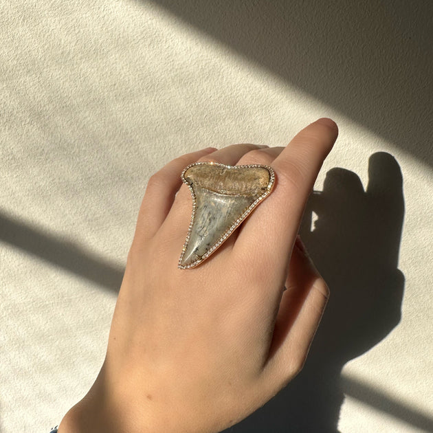 SHARK TOOTH RING – Anita Ko